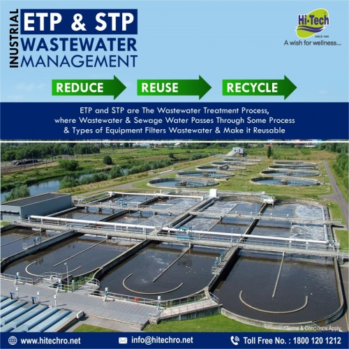 A sneaky look into ETP and STP processes